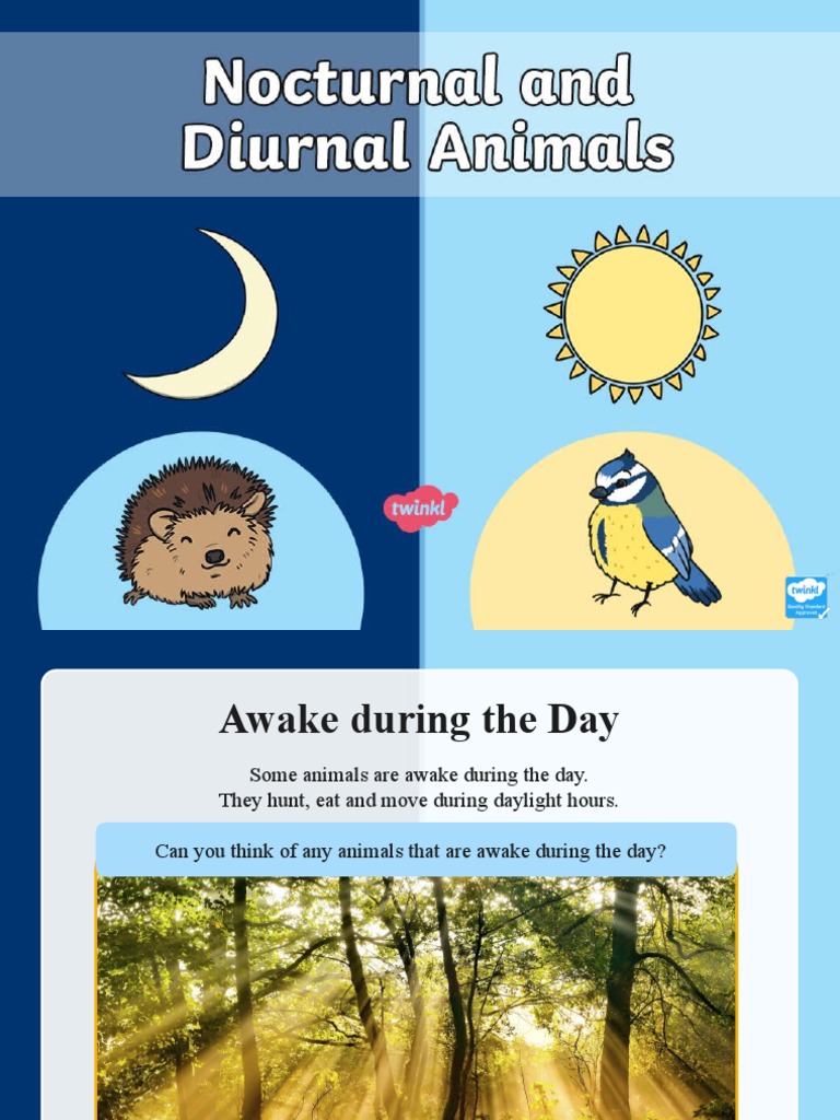 Nocturnal Diurnal Animals | PDF | Predation | Ethology