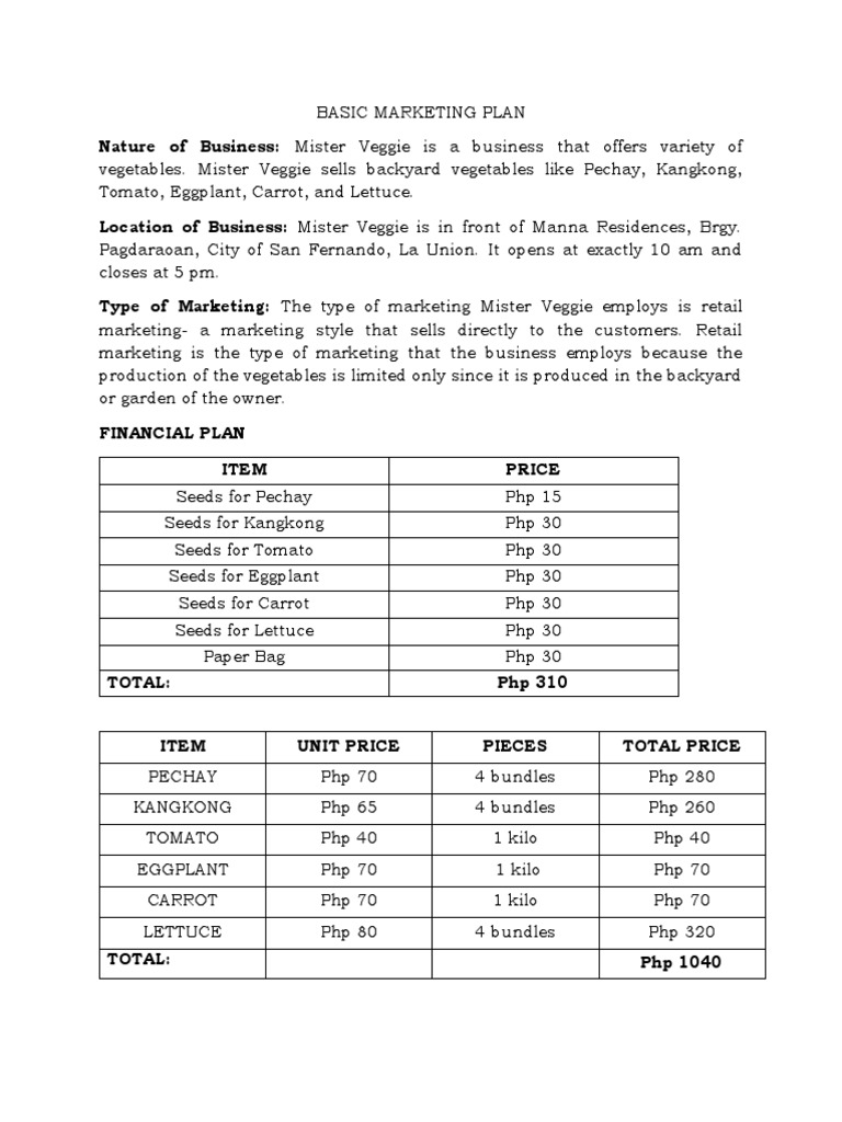 Basic Marketing Plan | PDF