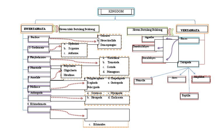 Peta Konsep Kingdom Animalia | PDF
