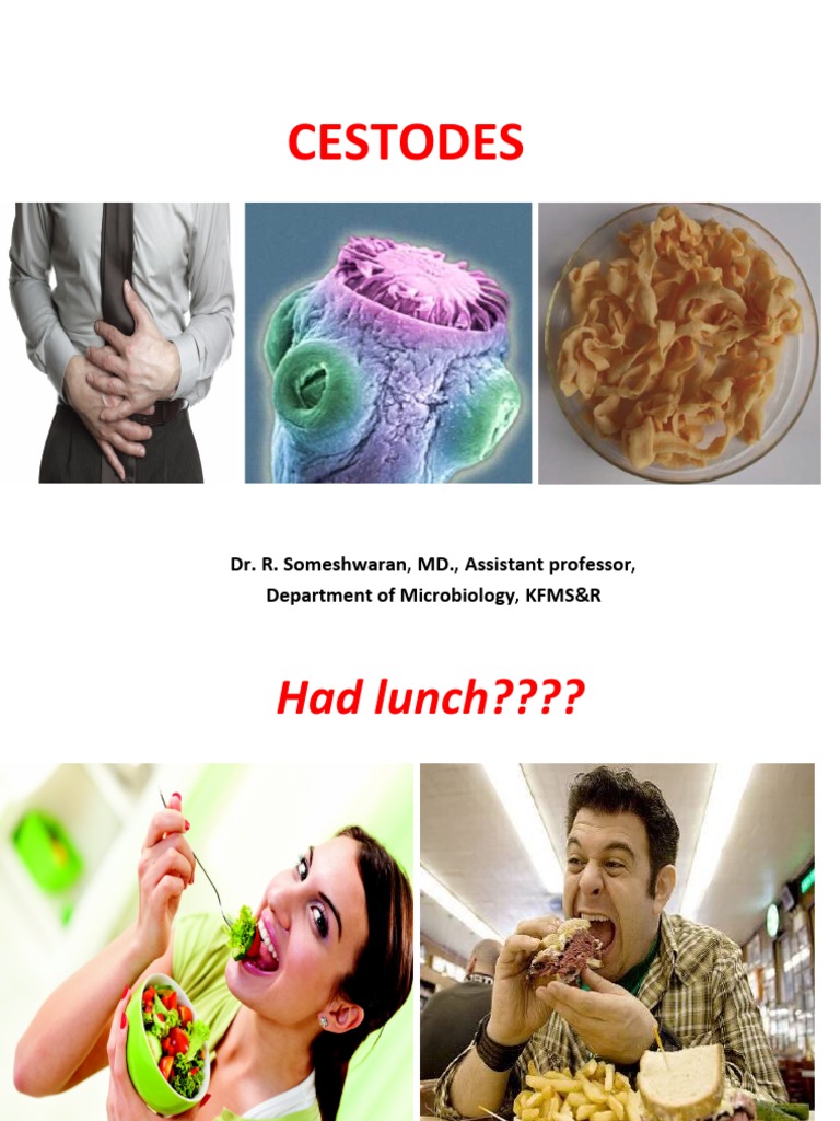 Morphology, Life Cycles, and Classification of Common Cestode ...