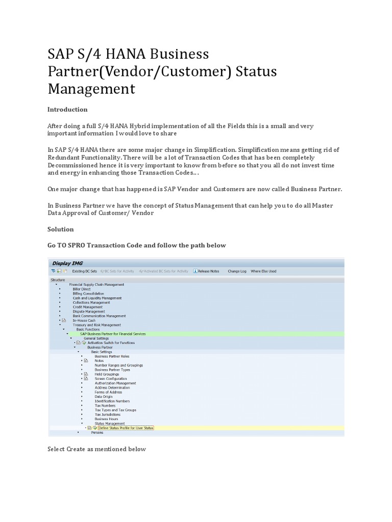 SAP S/4 HANA Business Partner (Vendor/Customer) Status Management | PDF