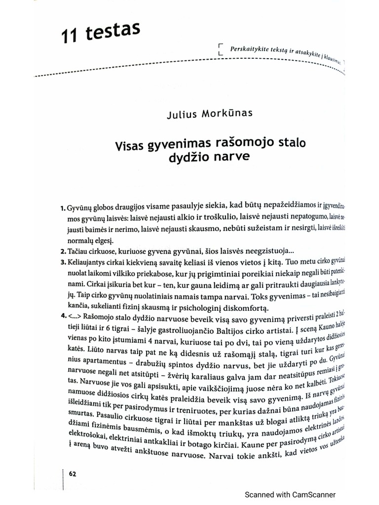 Teksto Suvokimo Užduotis | PDF