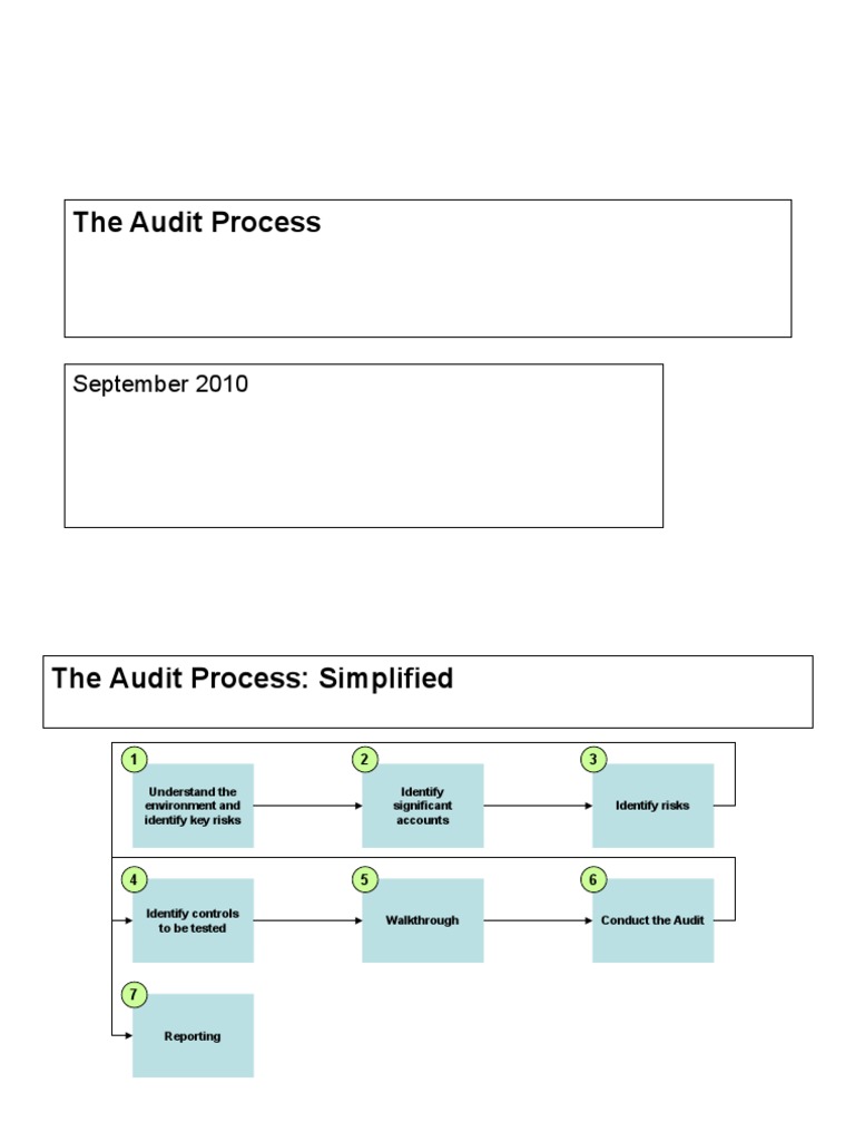 Simplified Audit Process Guide | PDF | Technology & Engineering