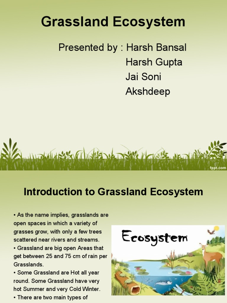 Grassland Ecosystem Pdf Grassland Savanna