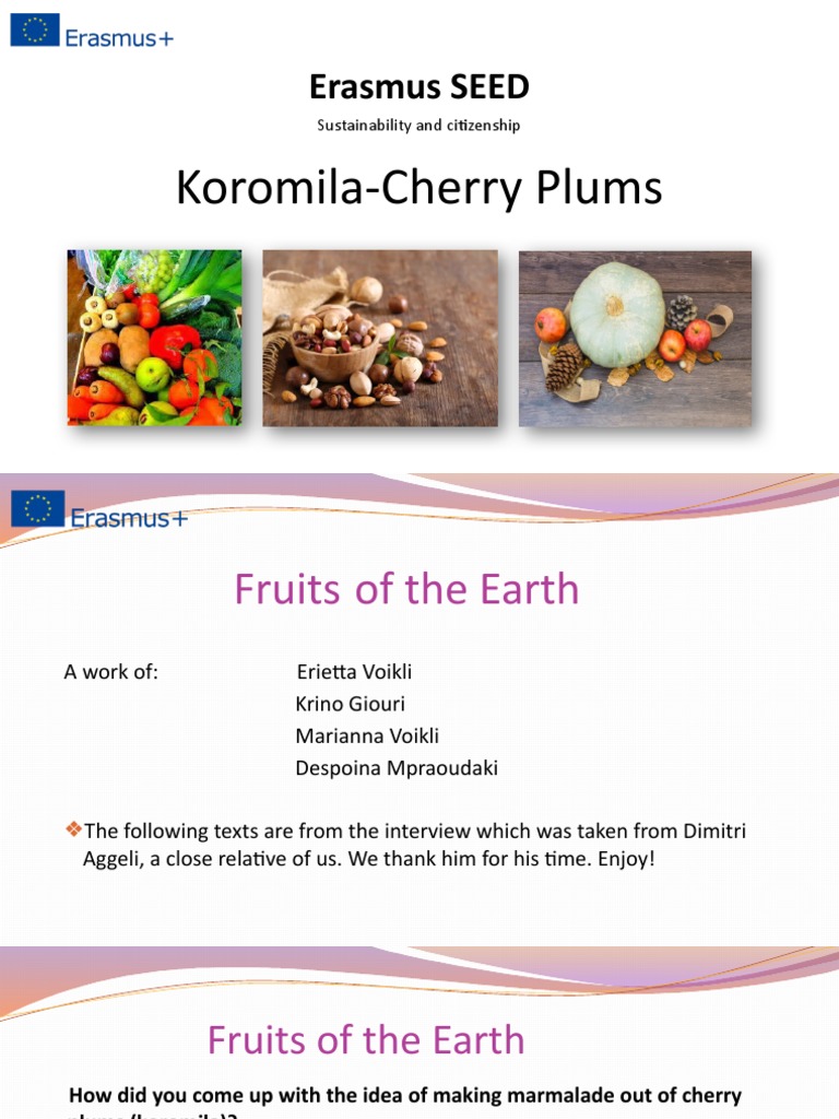 Cherry Plums-Koromila. GR | PDF | Fruit Preserves | Cherry