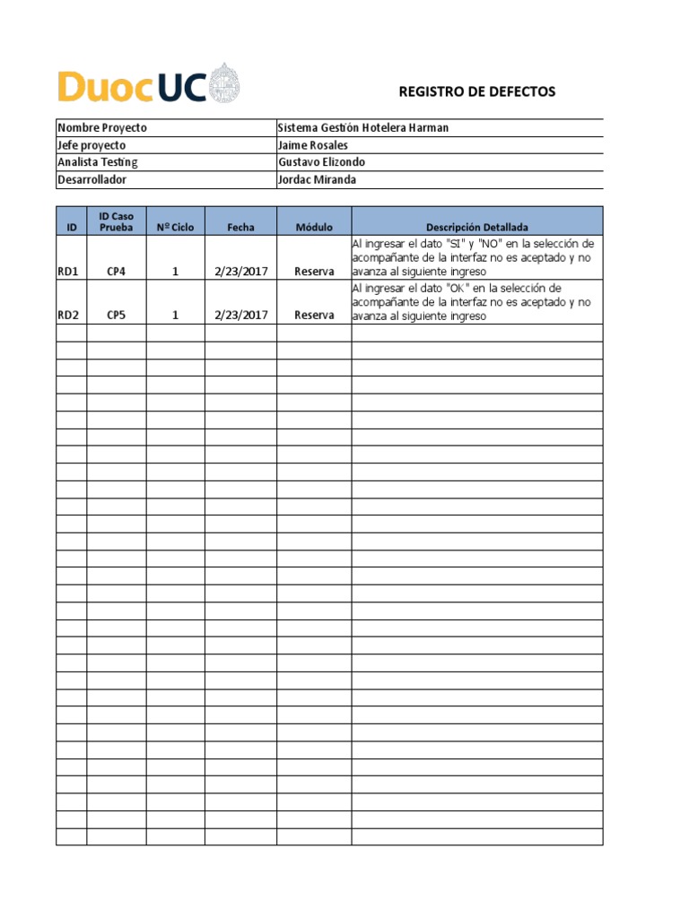 2.1.17 Planilla Registro de Defectos - Ejemplo | PDF