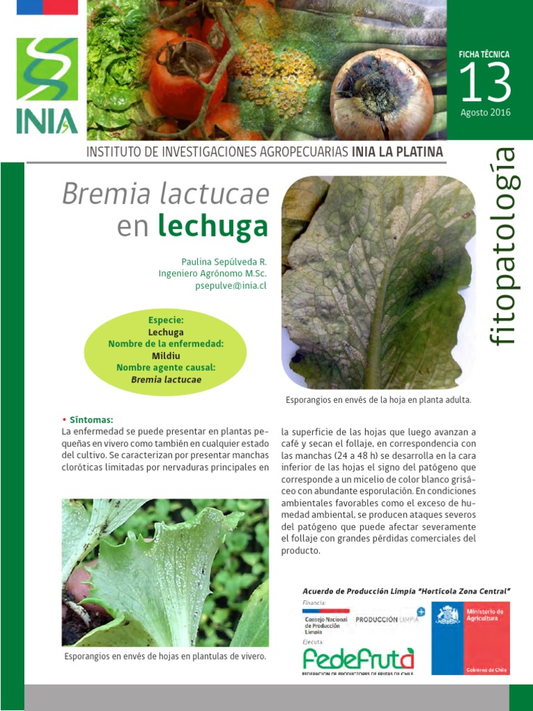 Bremia Lactucae | PDF | Especialidades Medicas | Enfermedades y trastornos