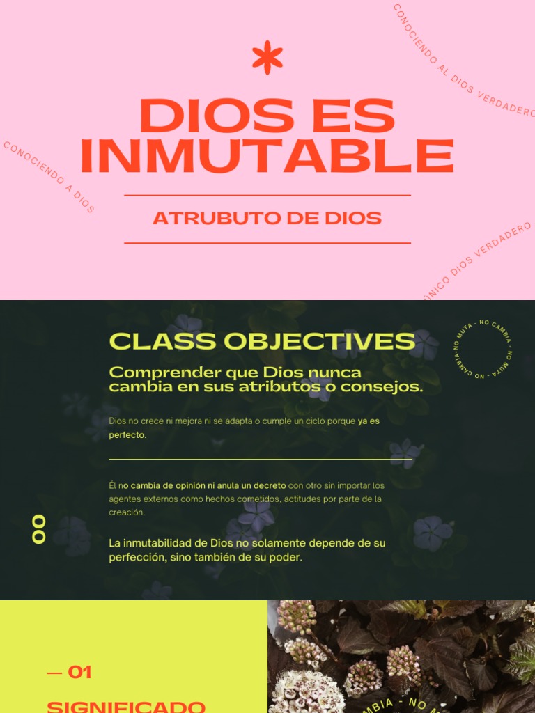 Dios Inmutable - Estudio Bíblico Desde El Manual Bíblico de Paul Washer ...