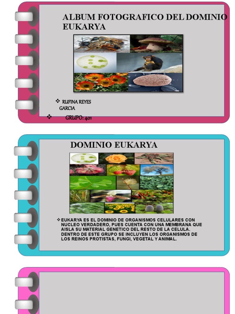 ALBUM FOTOGRAFICO DEL DOMINIO EUKARYA (Autoguardado) | PDF