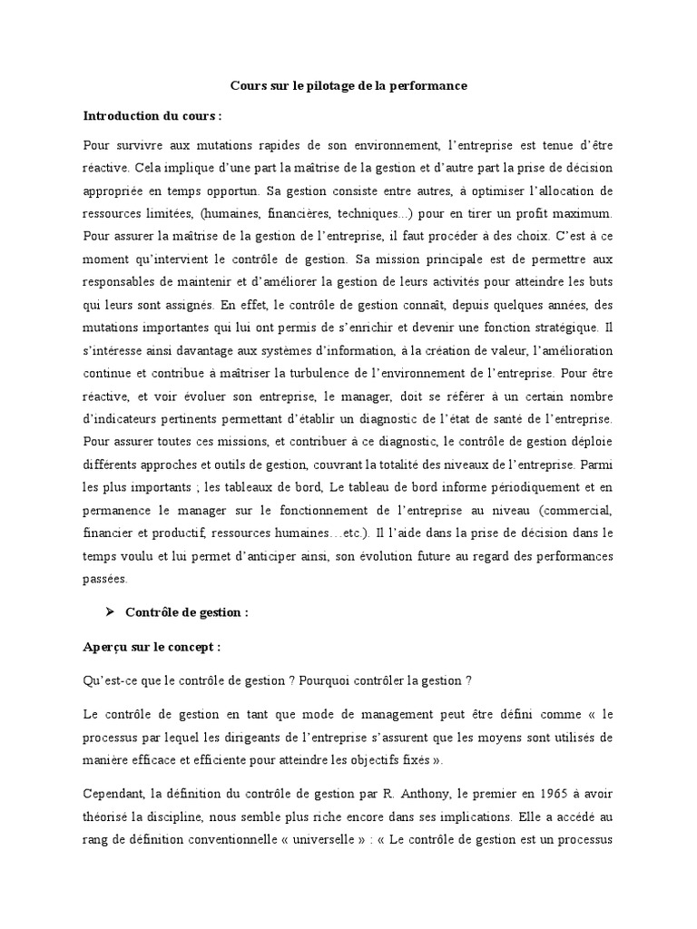 Cours sur le pilotage de la performance | PDF | Capitaux propres | Business