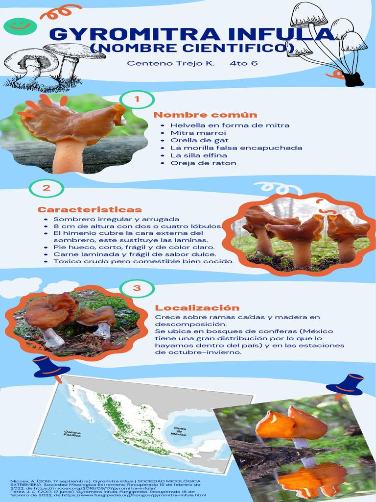 Gyromitra Infula | PDF