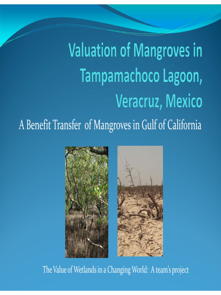 Tampamachoco Lagoon Veracruz Mexico 1 | PDF | Mangrove | Ecosystem