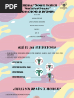 Safenectomia | PDF | Cirugía | Especialidades Medicas