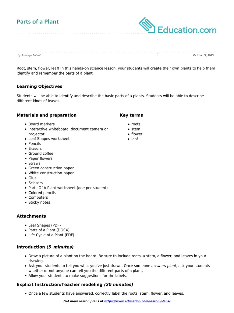 Parts of A Plant: Learning Objectives | PDF | Plants | Flowers