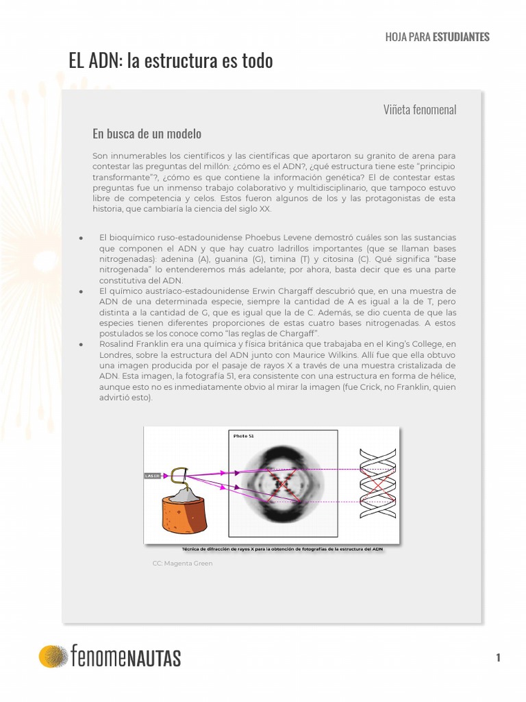 EL ADN La Estructura Es Todo | PDF | Adn | Francis Crick