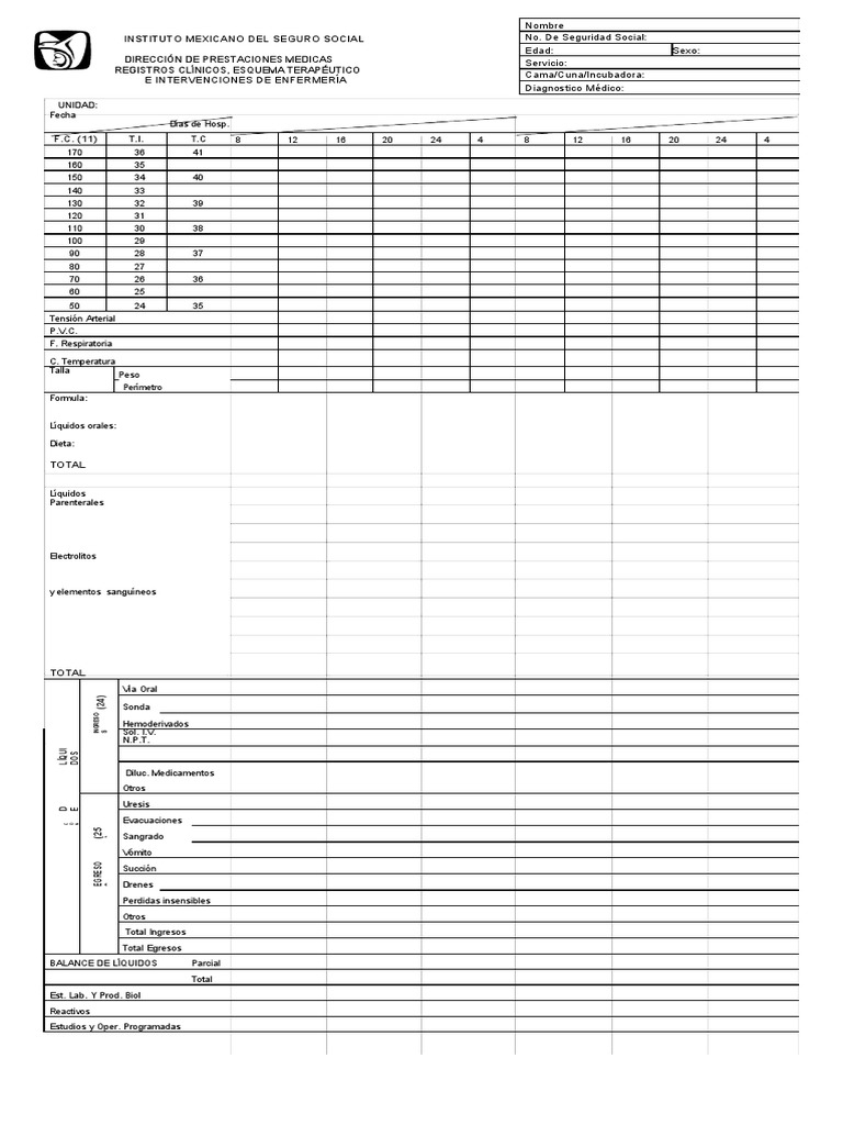 Instructivo Hoja Enfermeria Del IMSS | PDF | Enfermería | Medicamentos ...