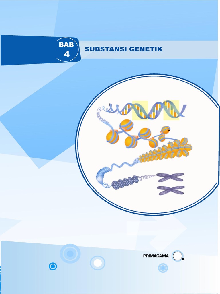04 - Subst Genetik | PDF