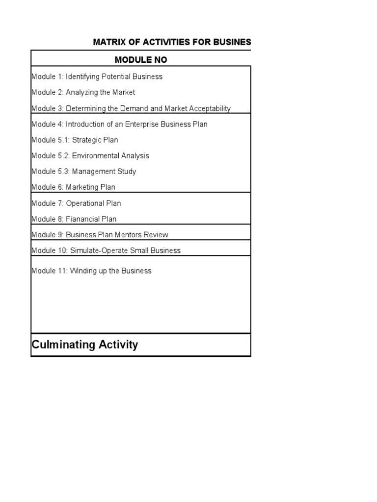 Matrix of Activities For Business Simulation | PDF | Business