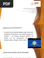 Importancia de los CHONPS en la vida | PDF | Alimentos | Nutrientes