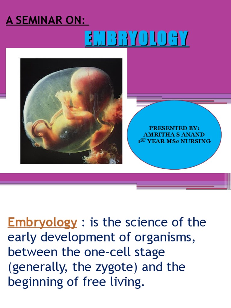Embryology | Implantation (Human Embryo) | Developmental Biology