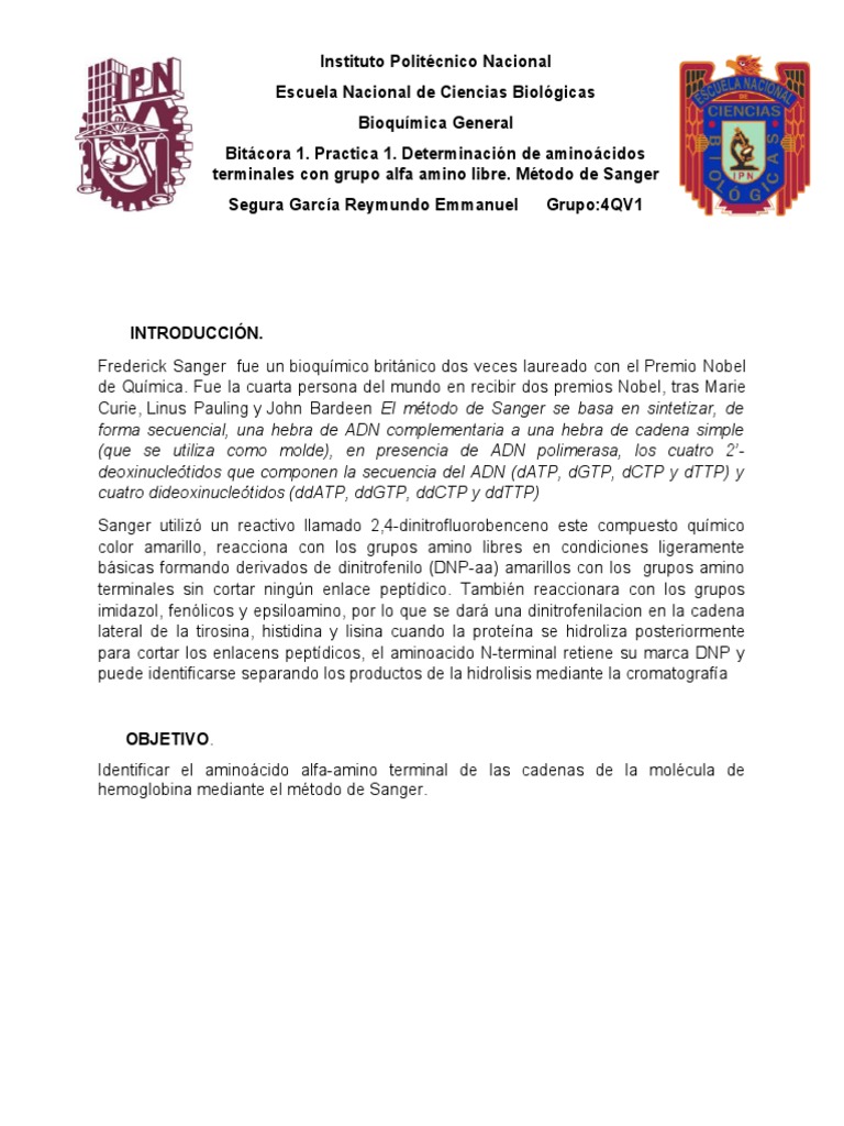 Bitácora 1 | PDF | Biología estructural | Biomoléculas