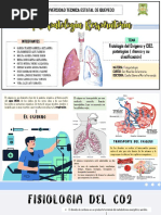 Test Control Asma ACT | PDF | Asma | Rtt