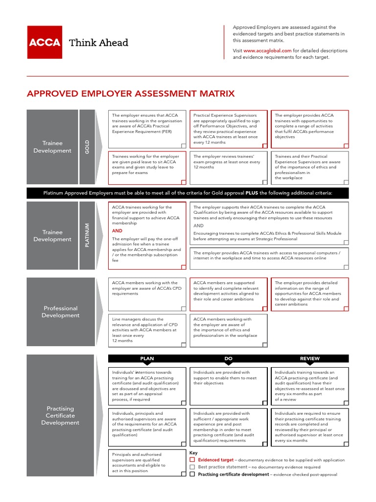 AE Assessment Matrix | PDF | Employment | Audit