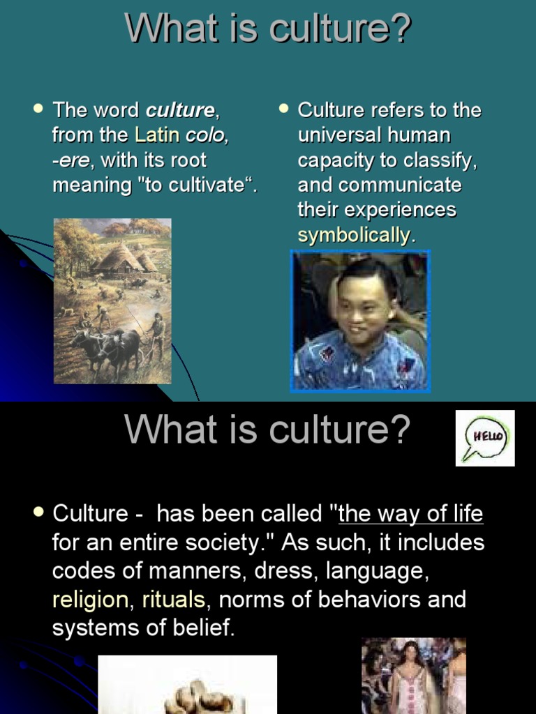 What Is Culture | PDF | Social Science