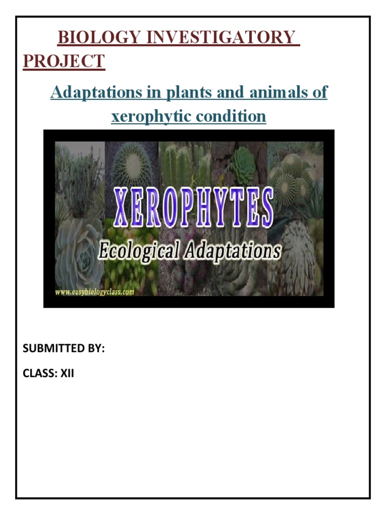 Adaptations in Plants and Animals of Xerophytic Condition: Biology ...