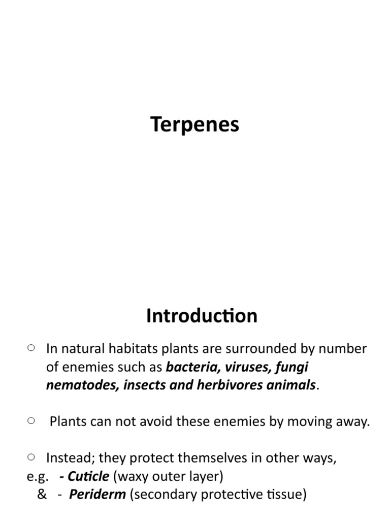 Terpenes | PDF | Alkene | Ketone