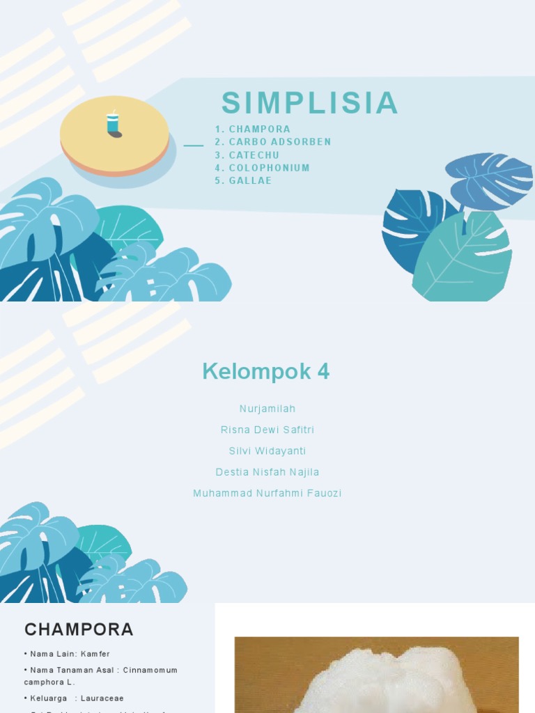 Simplisia Wps Office | PDF