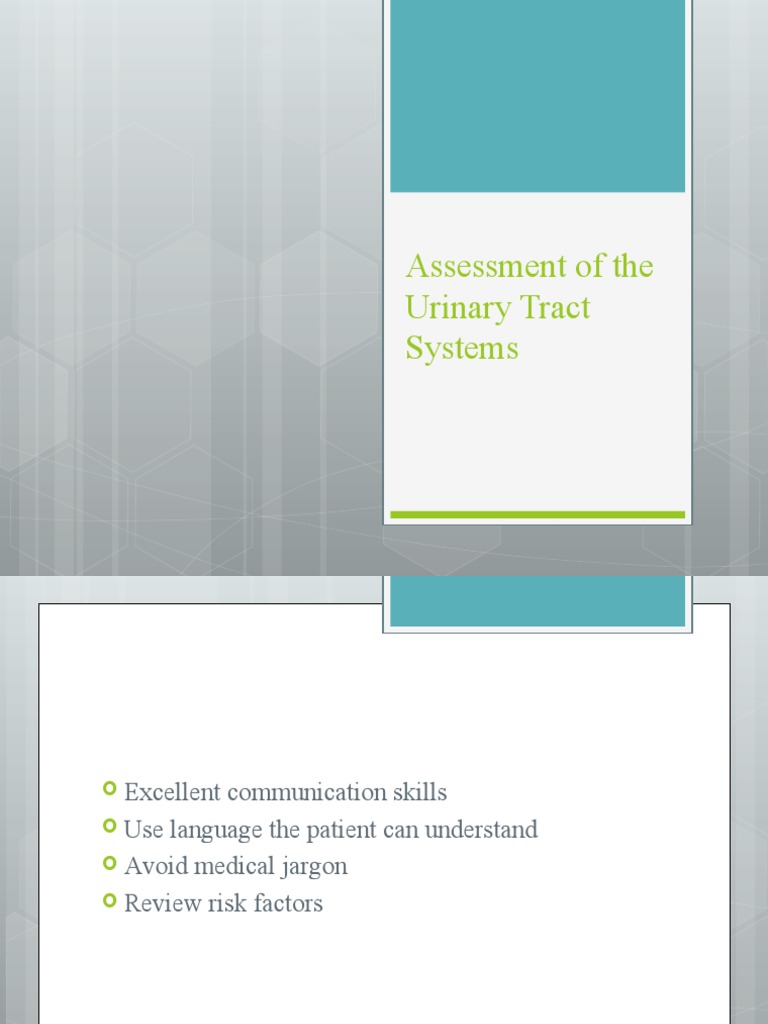 Assessment of The Renal and Urinary Tract Syatems New | PDF | Kidney ...