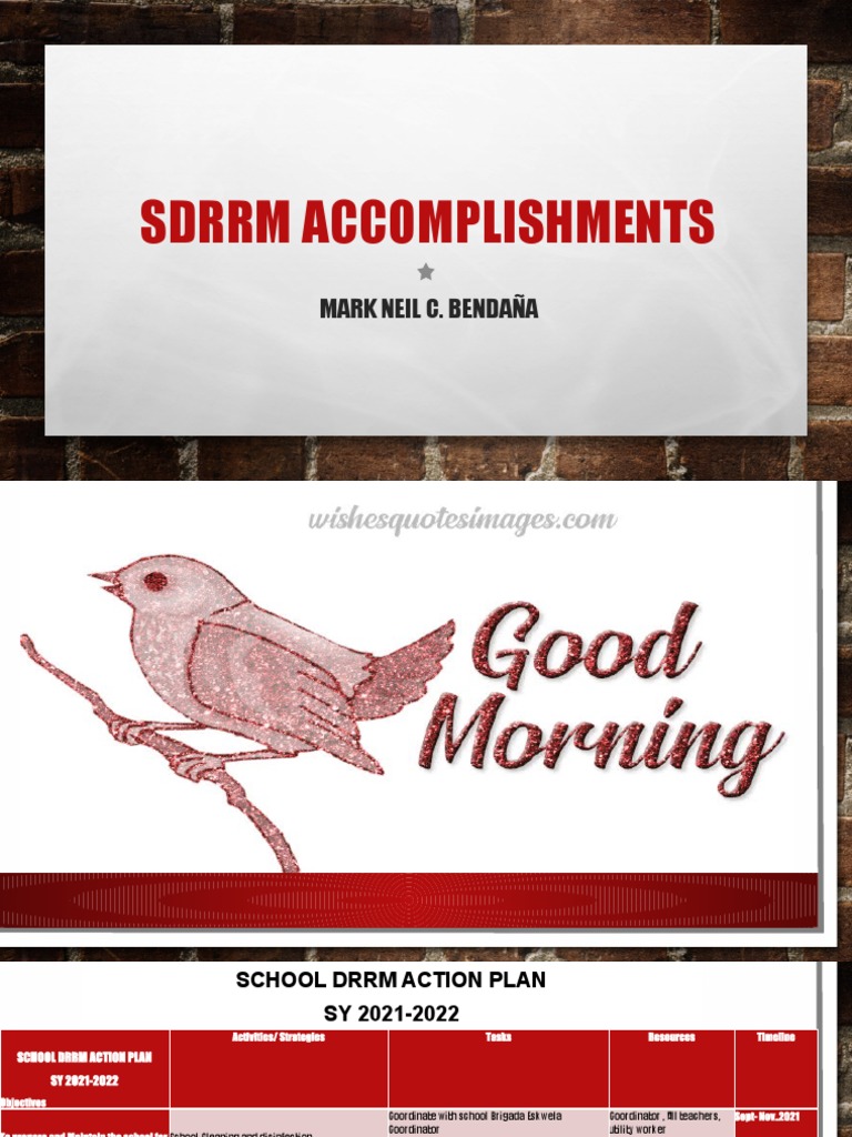 SDRRM Accomplishments: Mark Neil C. Bendaña | PDF | Emergency ...