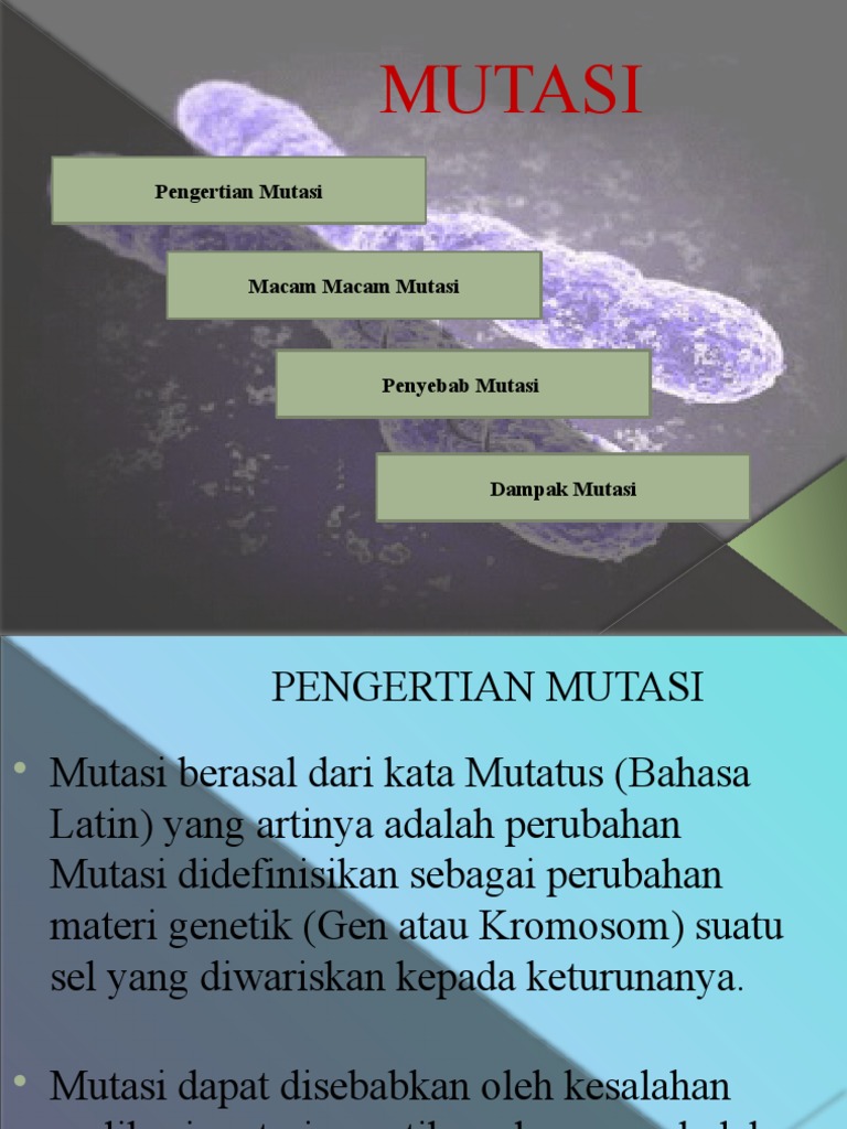 MUTASI GEN and MUTASI DNA | PDF