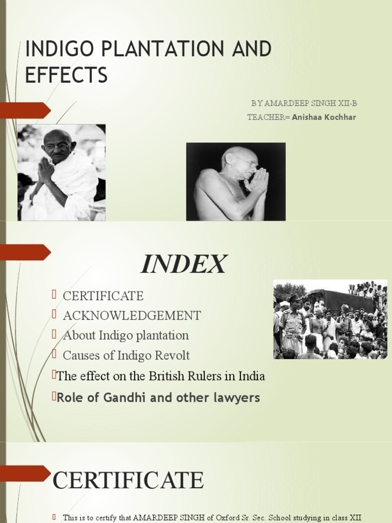 Indigo Plantation and Effects | PDF