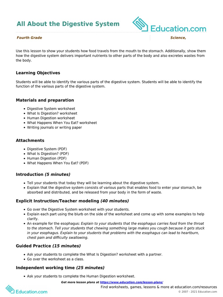 All About The Digestive System: Learning Objectives | PDF | Digestion ...