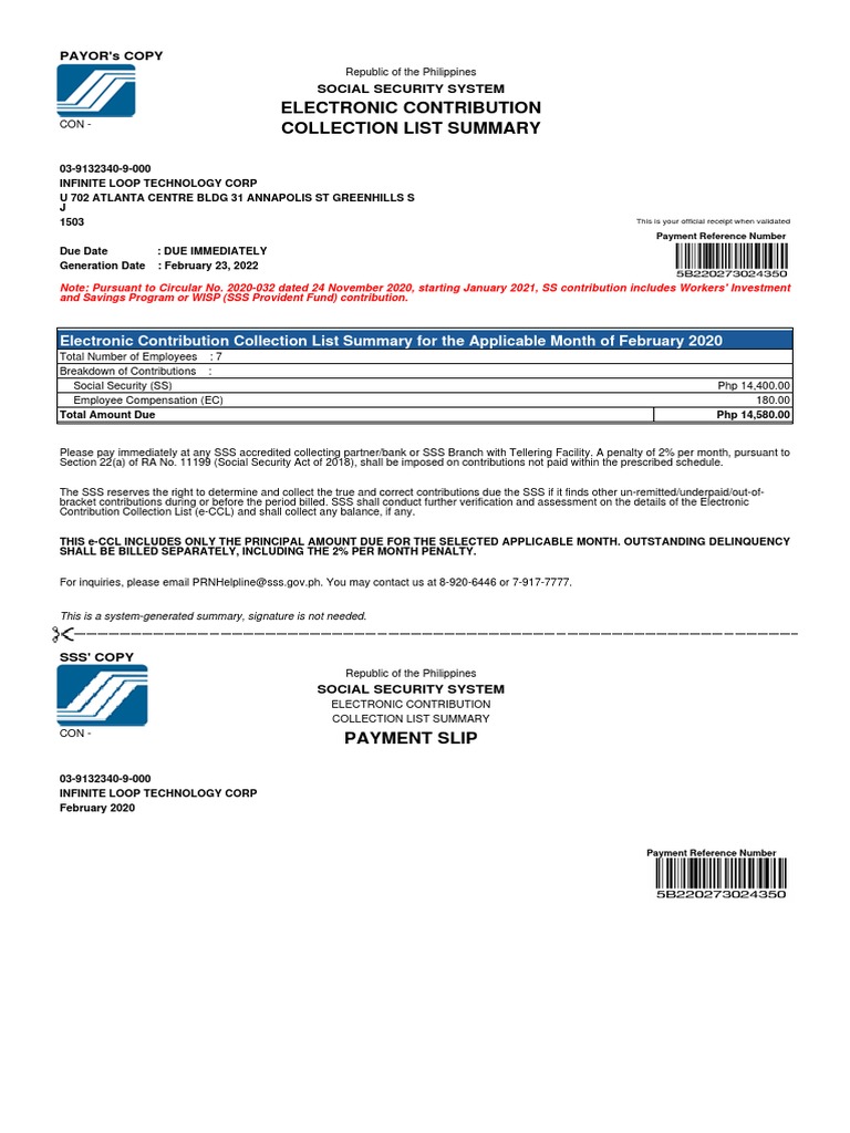 February 2020 SSS Contribution Summary and Payment Slip for Infinite ...