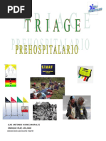 Triage Triptico | PDF | Enfermedades y trastornos humanos | Ciencias de ...