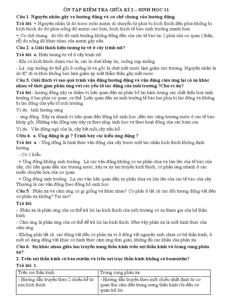 N T P Ki M Tra 11a1 | PDF