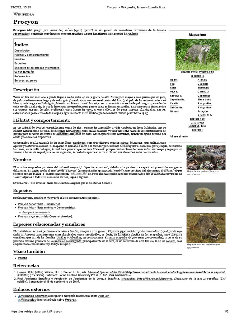 Procyon - Wikipedia, La Enciclopedia Libre | PDF