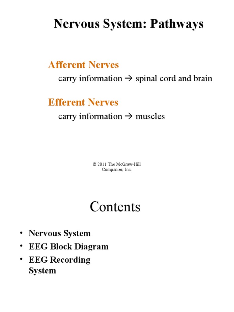 EEG Block Diagram, Electrodes and Their Placement | PDF | Nervous ...