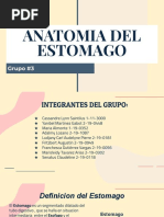 Anatomia, Irrigacion, Inervación Del Esofago y Estomago | PDF ...