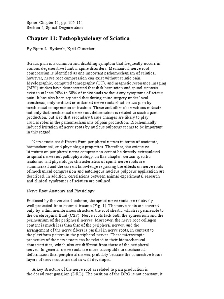 Chapter 11: Pathophysiology of Sciatica | PDF | Spinal Cord | Nerve