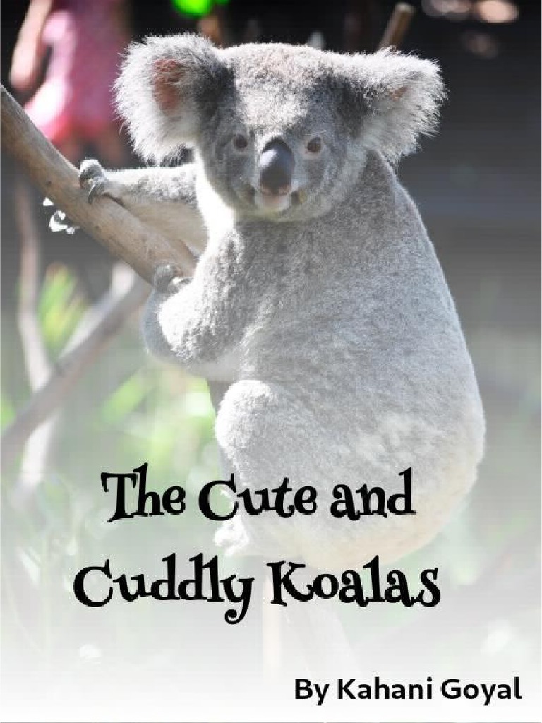 Koala Book KG | PDF | Koala | Marsupials