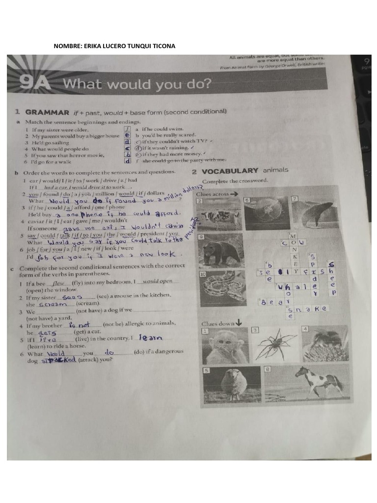 Workbook Pag 56 y 60 | PDF