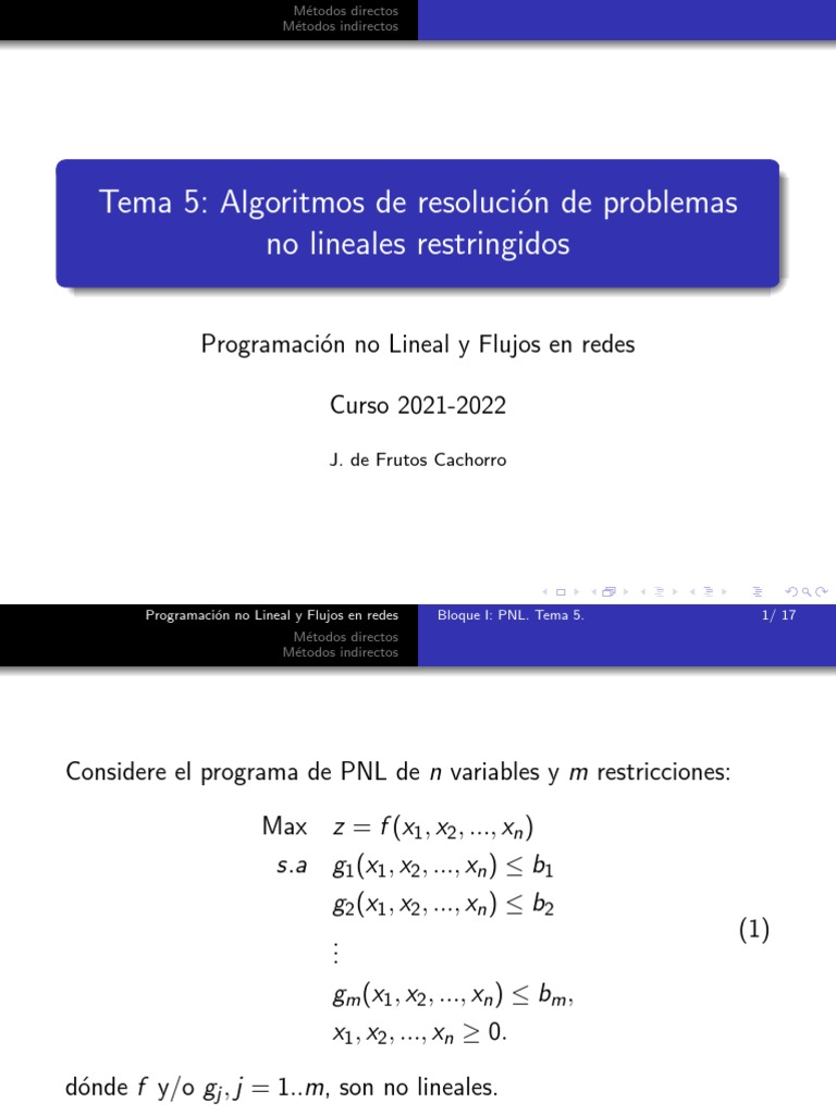 Tema 5 | Descargar gratis PDF | Programacion no lineal | Análisis