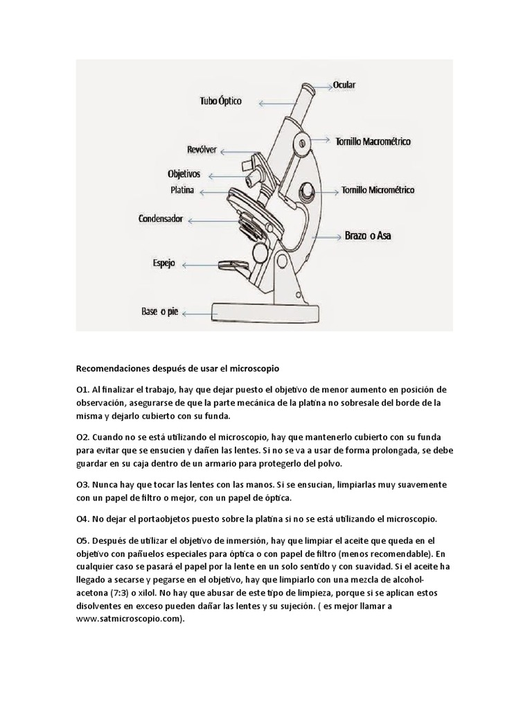 Cuidado y Mantenimiento del Microscopio | PDF | Microscopio