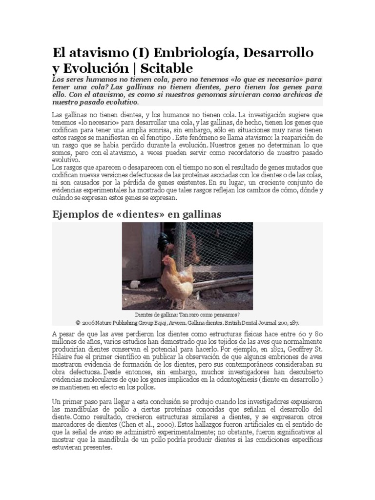 El Atavismo | PDF | Evolución | Gene