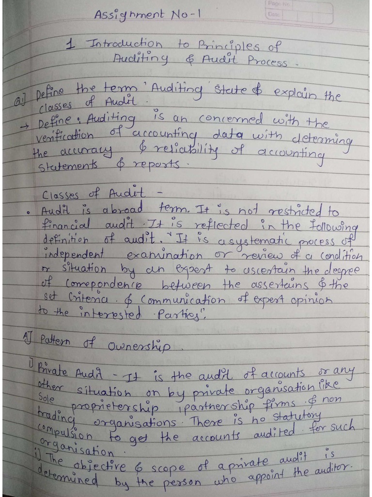 Audit Assignment No - 1 | PDF