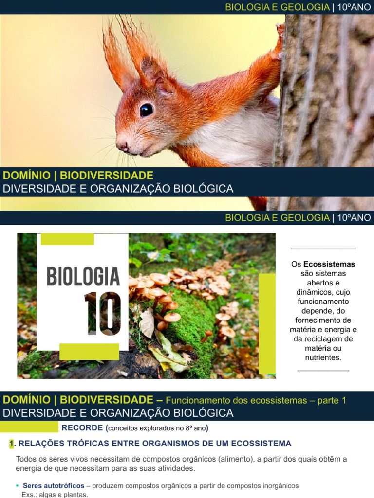3.2. PPT - Funcionamento Dos Ecossistemas | PDF | Ecossistema ...